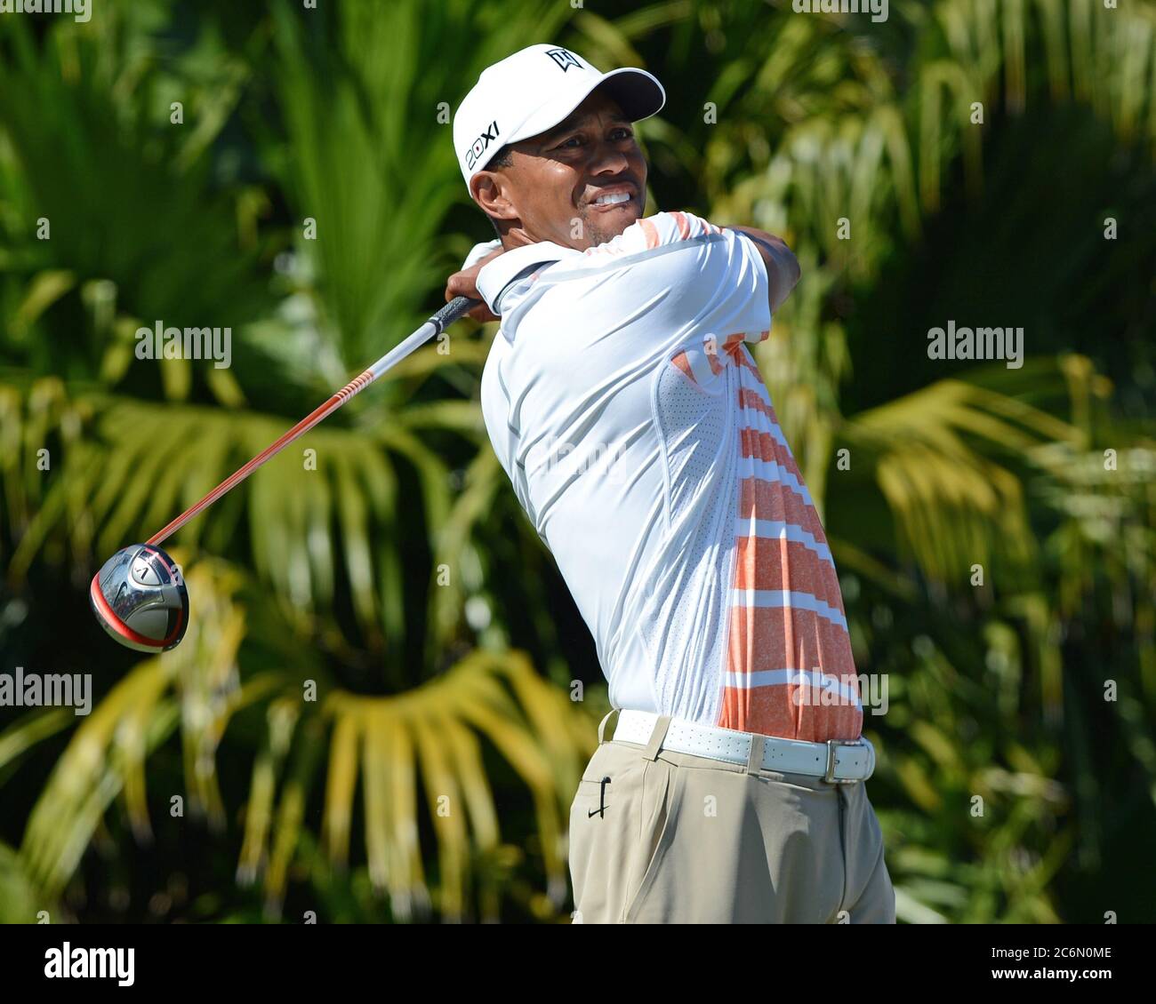 Rory tiger hi-res stock photography and images - Alamy