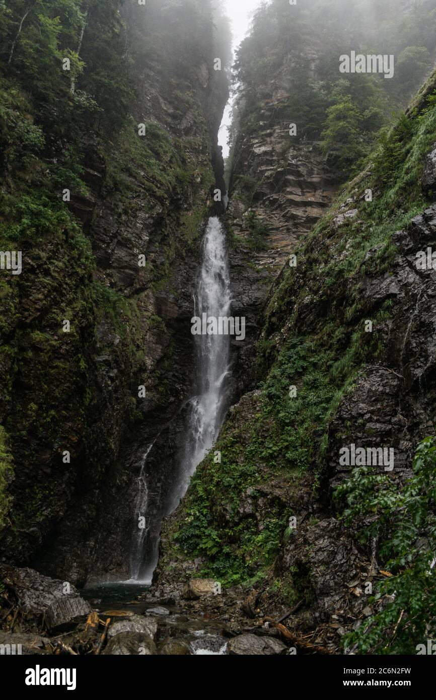 Waterfall inside the forest hi-res stock photography and images - Alamy