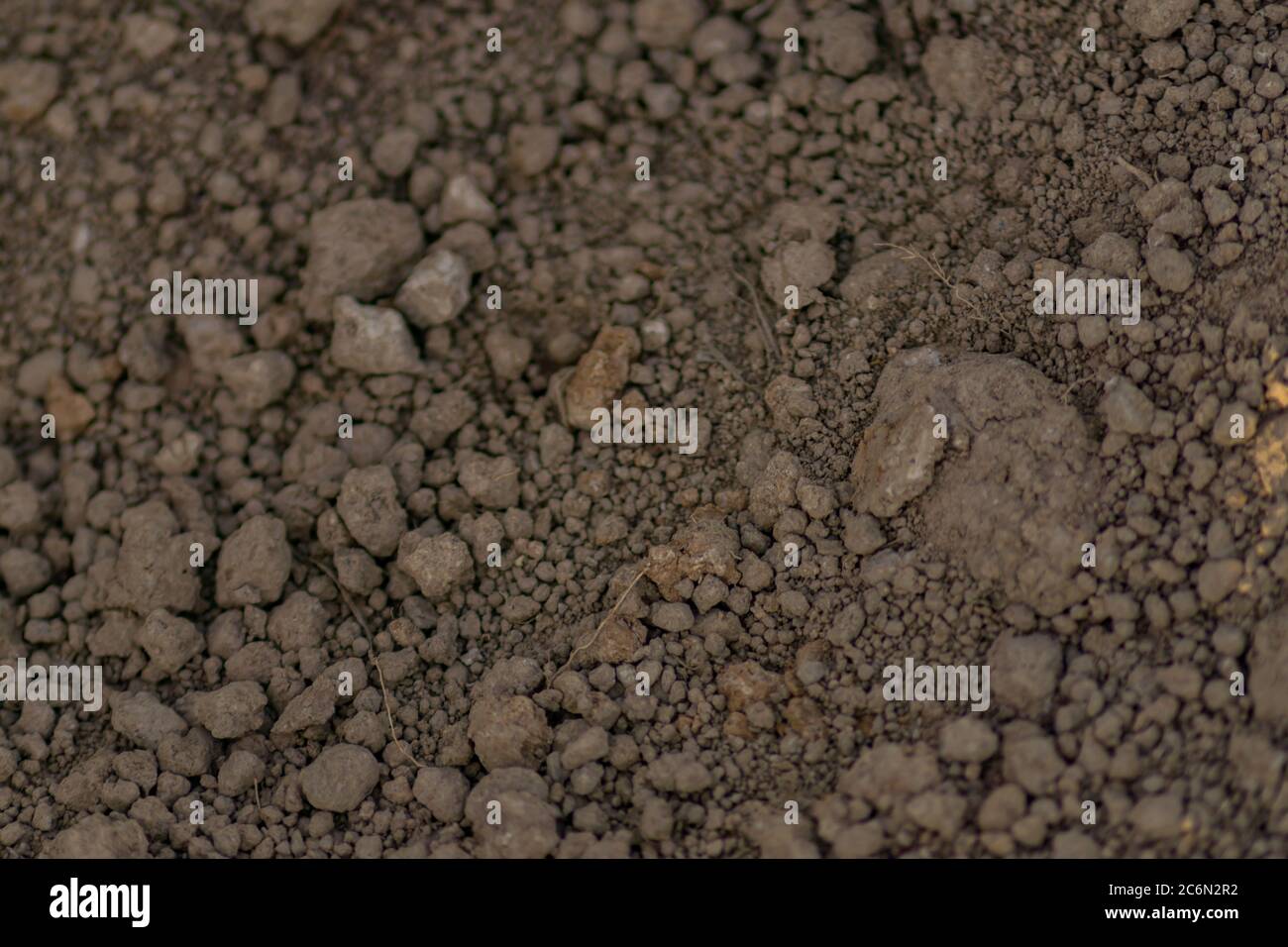 close up of soil background Stock Photo - Alamy