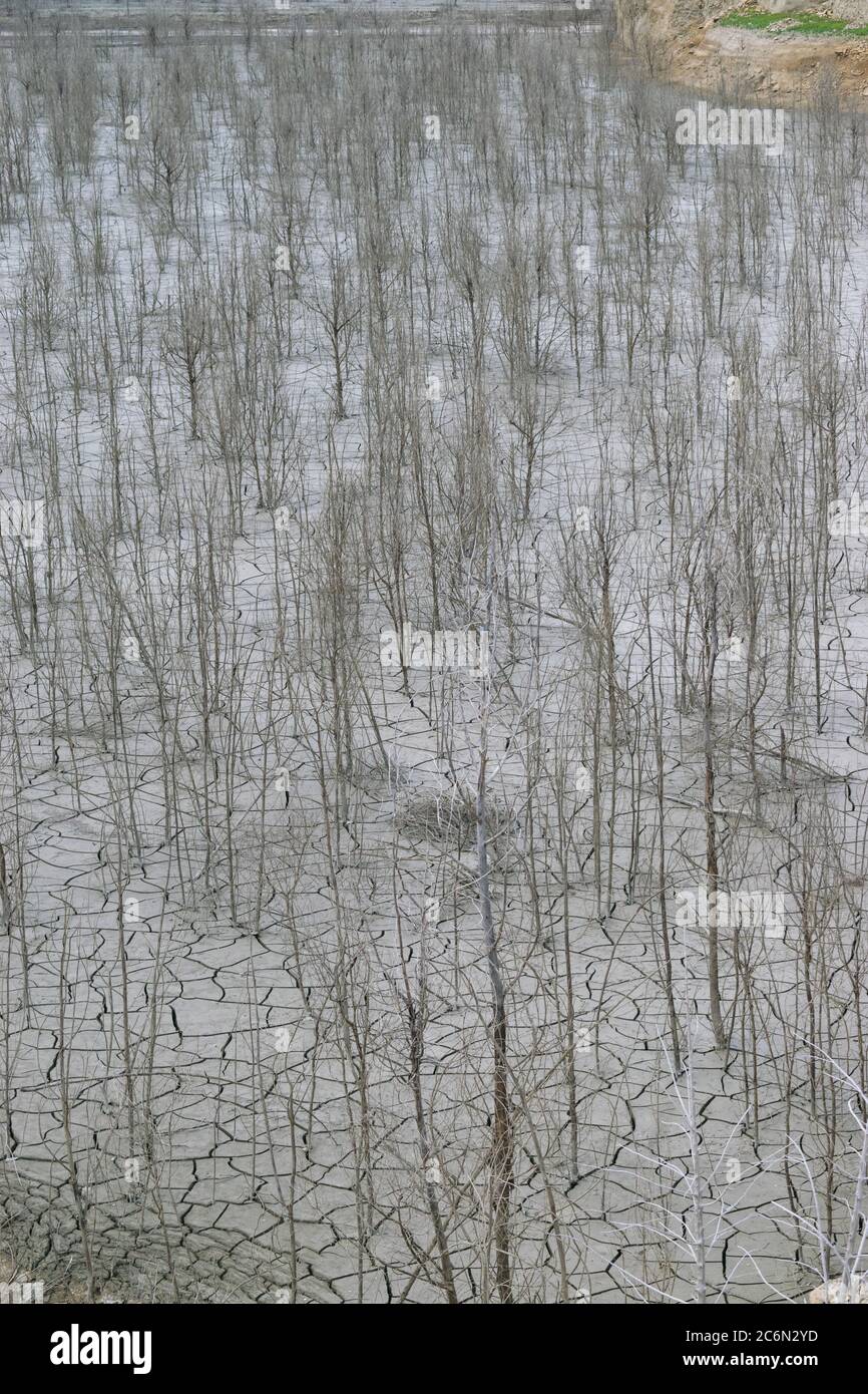 Great view of a completely dry natural area with cracks in the ground ...