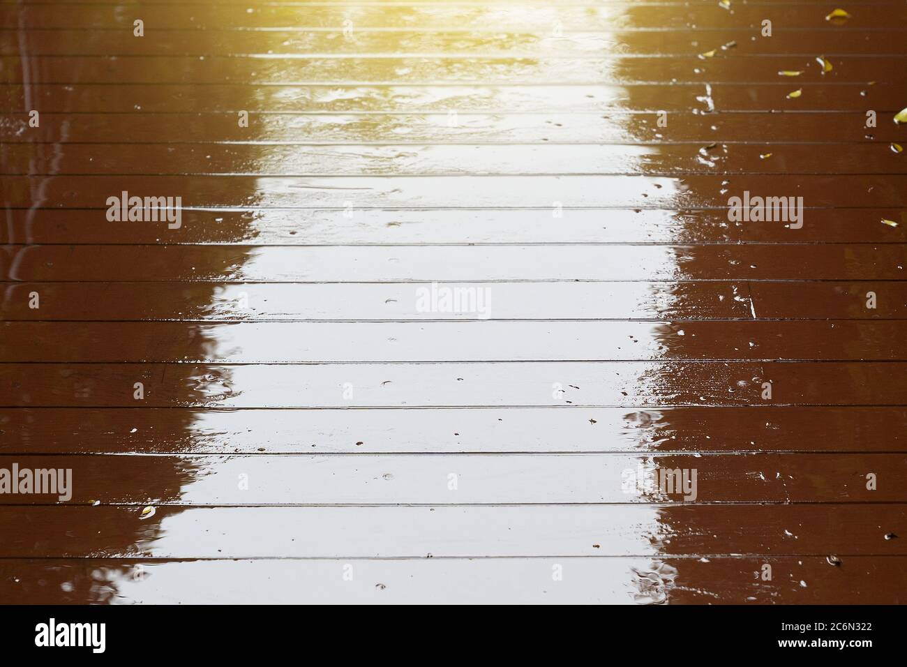 After the rain garden with a path under archway Stock Photo - Alamy