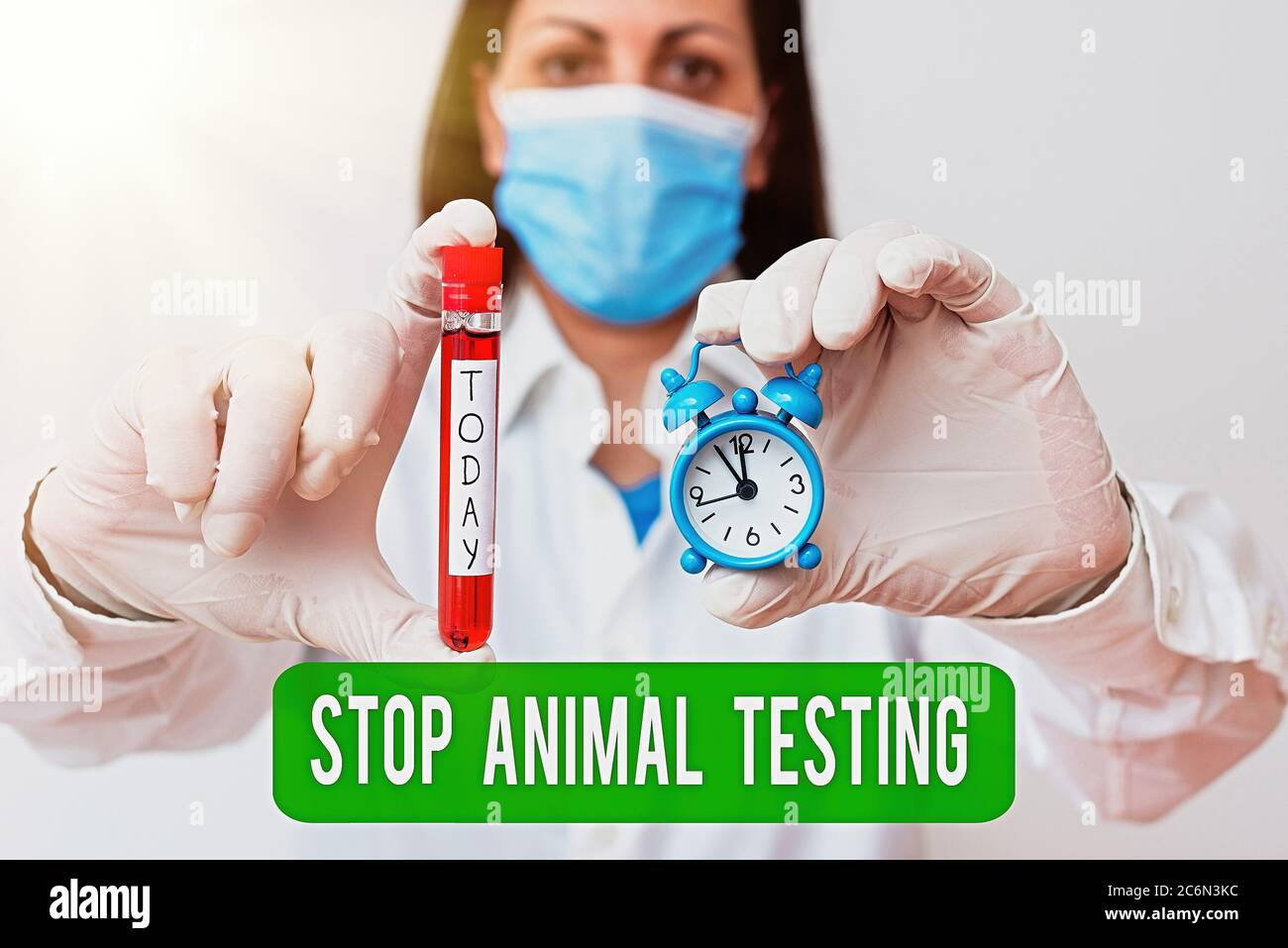 Text sign showing Stop Animal Testing. Business photo showcasing put an ...