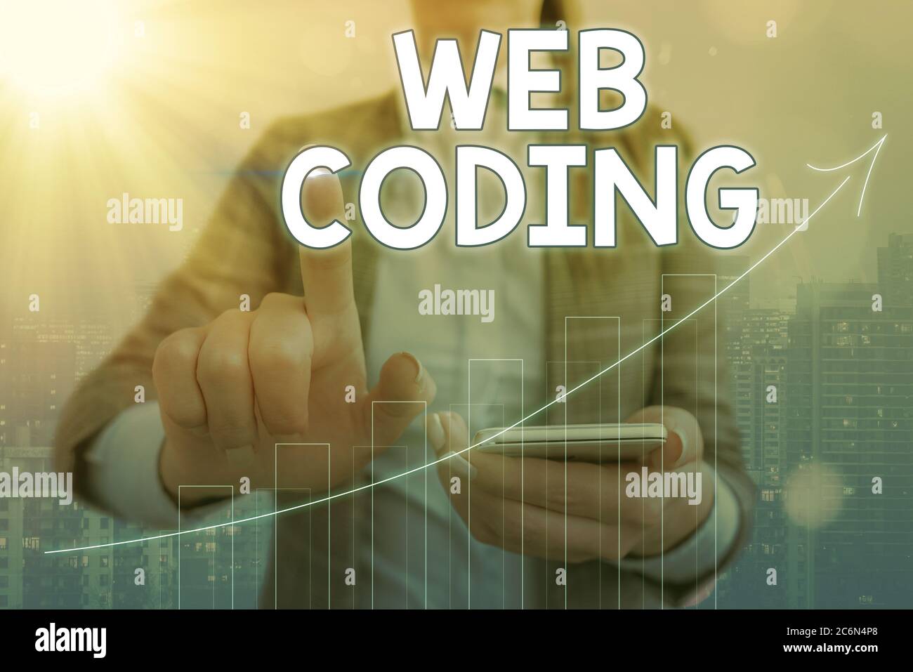 Conceptual hand writing showing Web Coding. Concept meaning a system of ...