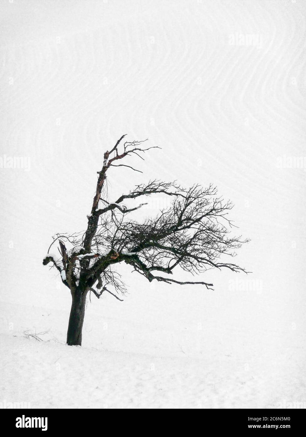 Single landscape element hi-res stock photography and images - Alamy