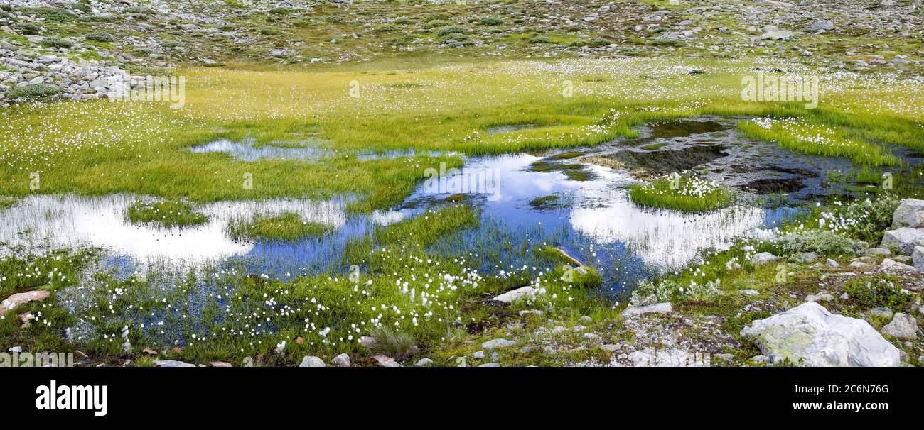 Maejelensee lake hi-res stock photography and images - Alamy