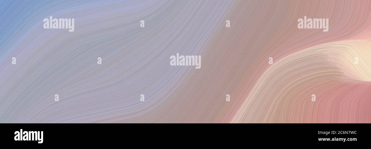 abstract artistic header design with dark gray, baby pink and rosy ...