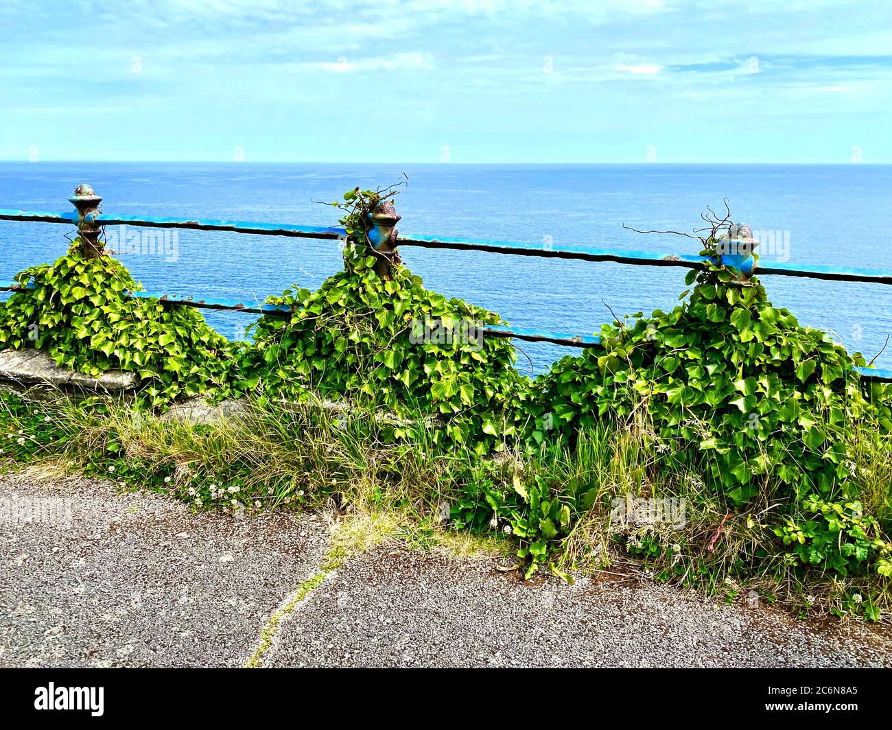 Ivy growing on the old iron railings above Marine Drive Isle of Man ...