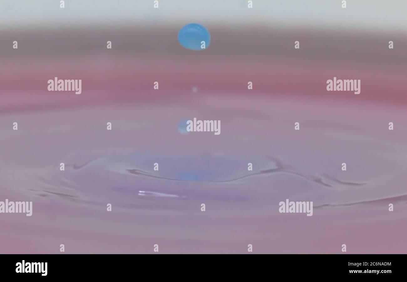 Light blue color drop in pink water and splash creative forms made ...