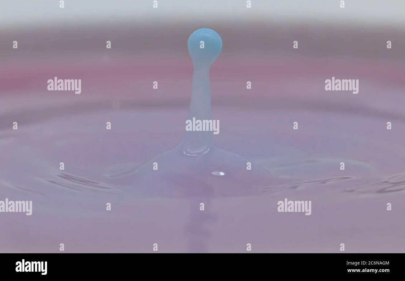 Light blue color drop in pink water and splash creative forms made ...