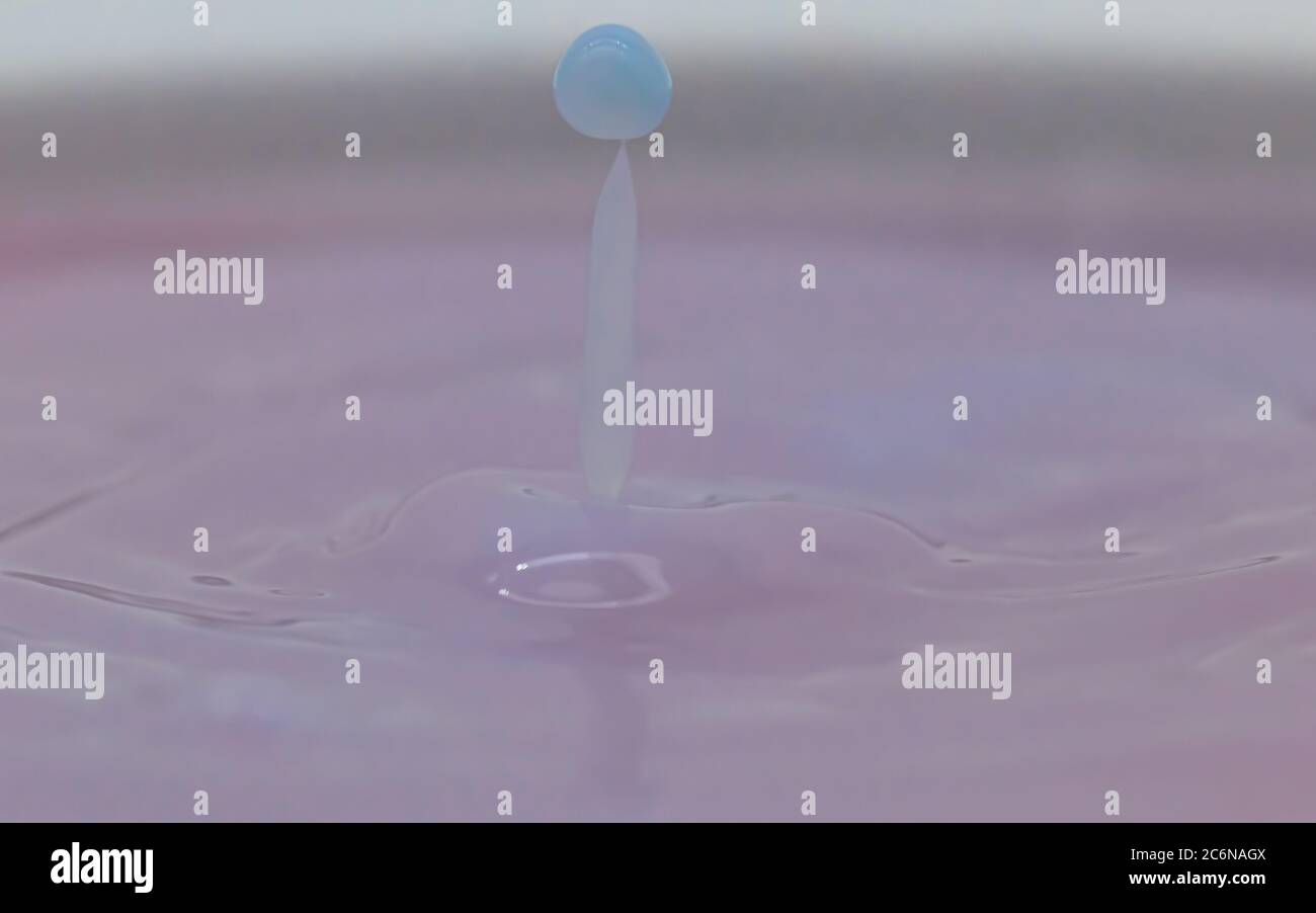 Light blue color drop in pink water and splash creative forms made ...