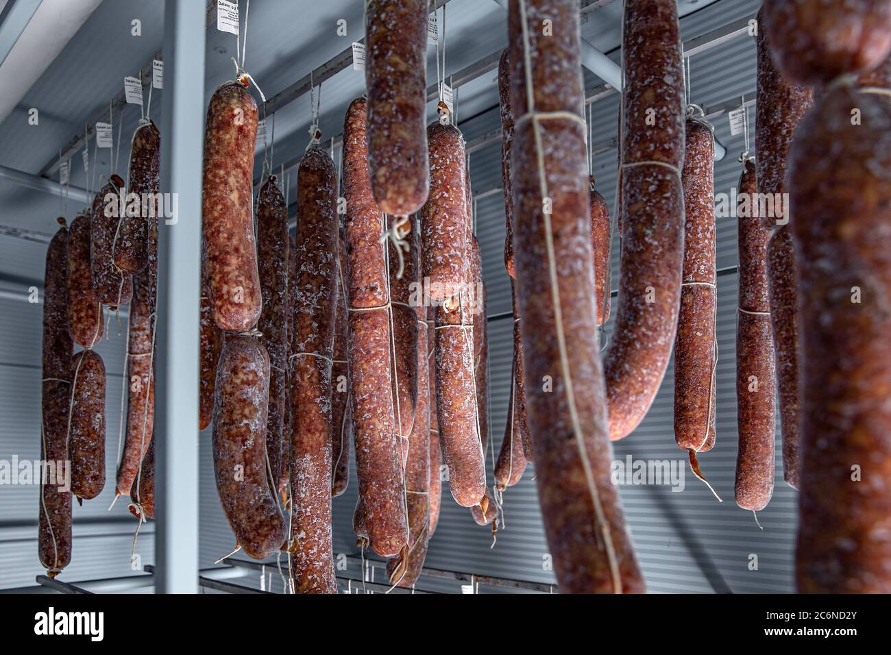 Mold is great for traditional salami styles dried at lower temperature ...