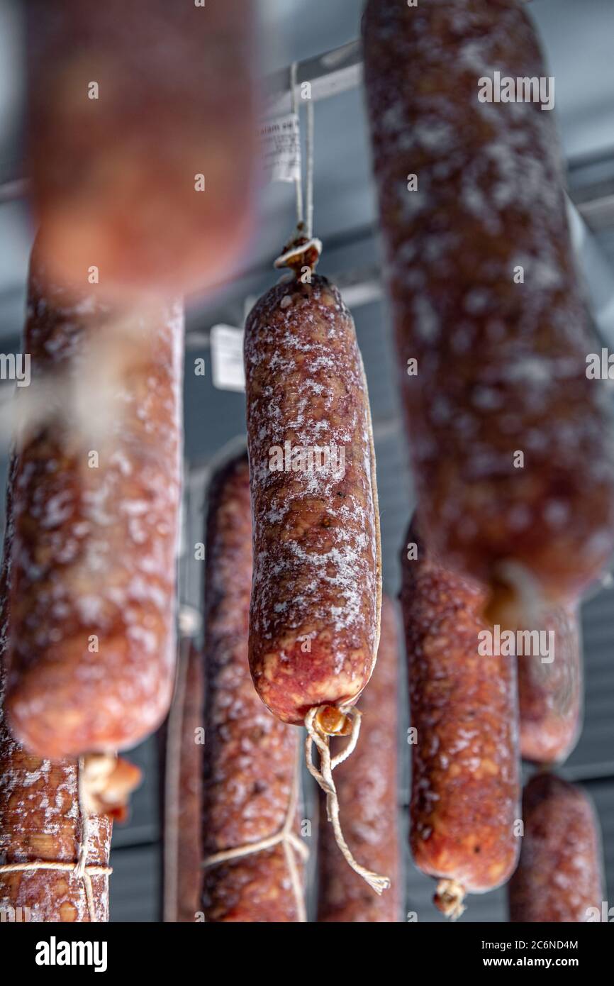 Surface mold starting to growth on the dry salami Stock Photo - Alamy