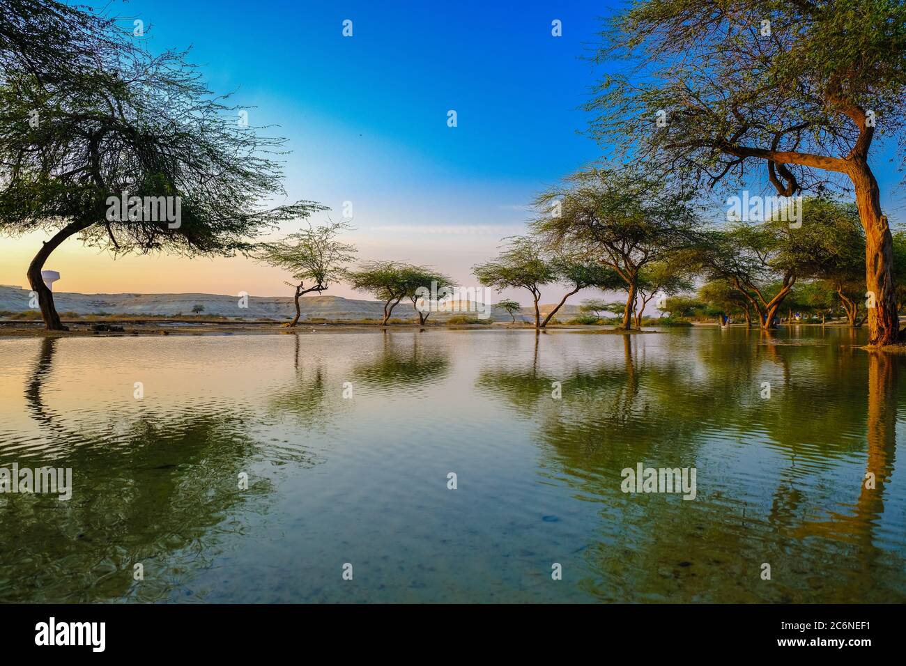 Bahrain rain hi-res stock photography and images - Alamy
