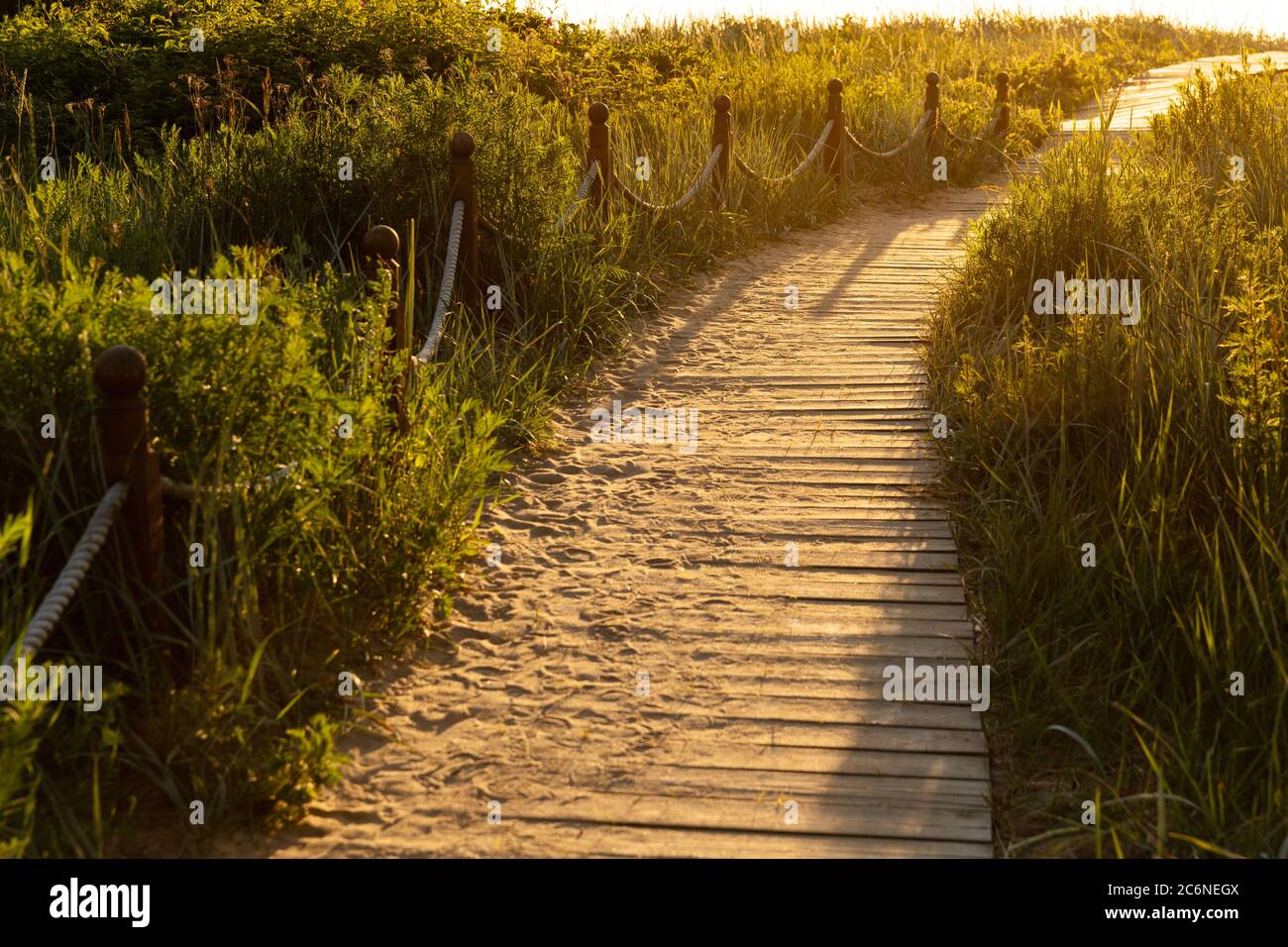 Sand dunes hiking trail hi-res stock photography and images - Alamy