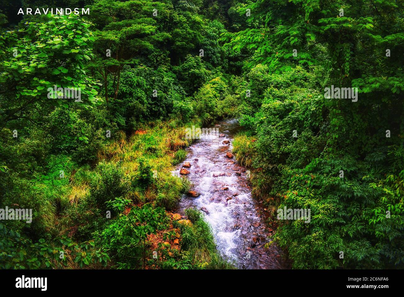 Water is flowing through a natural canal in between trees and plants ...