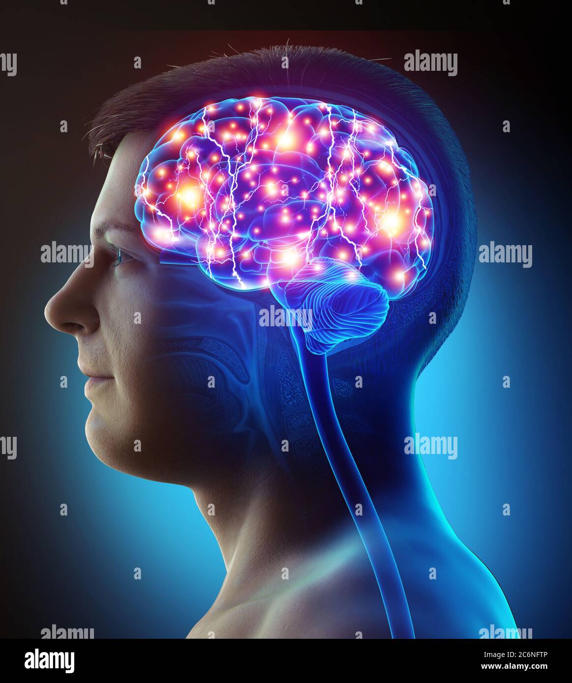 Male active brain anatomy hi-res stock photography and images - Alamy