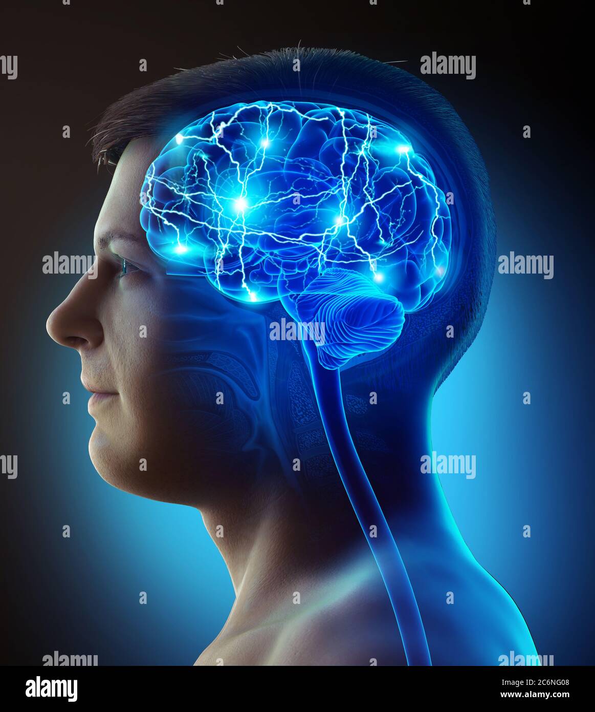 3d rendered, medically accurate illustration of a male active brain ...