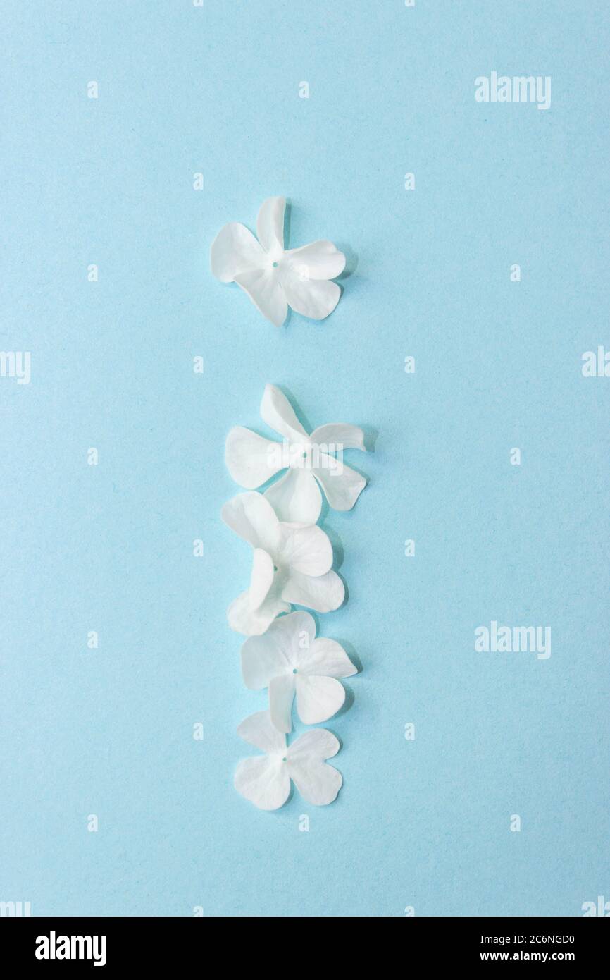 Flower Alphabet - I. Letter made from live flowers on light blue ...