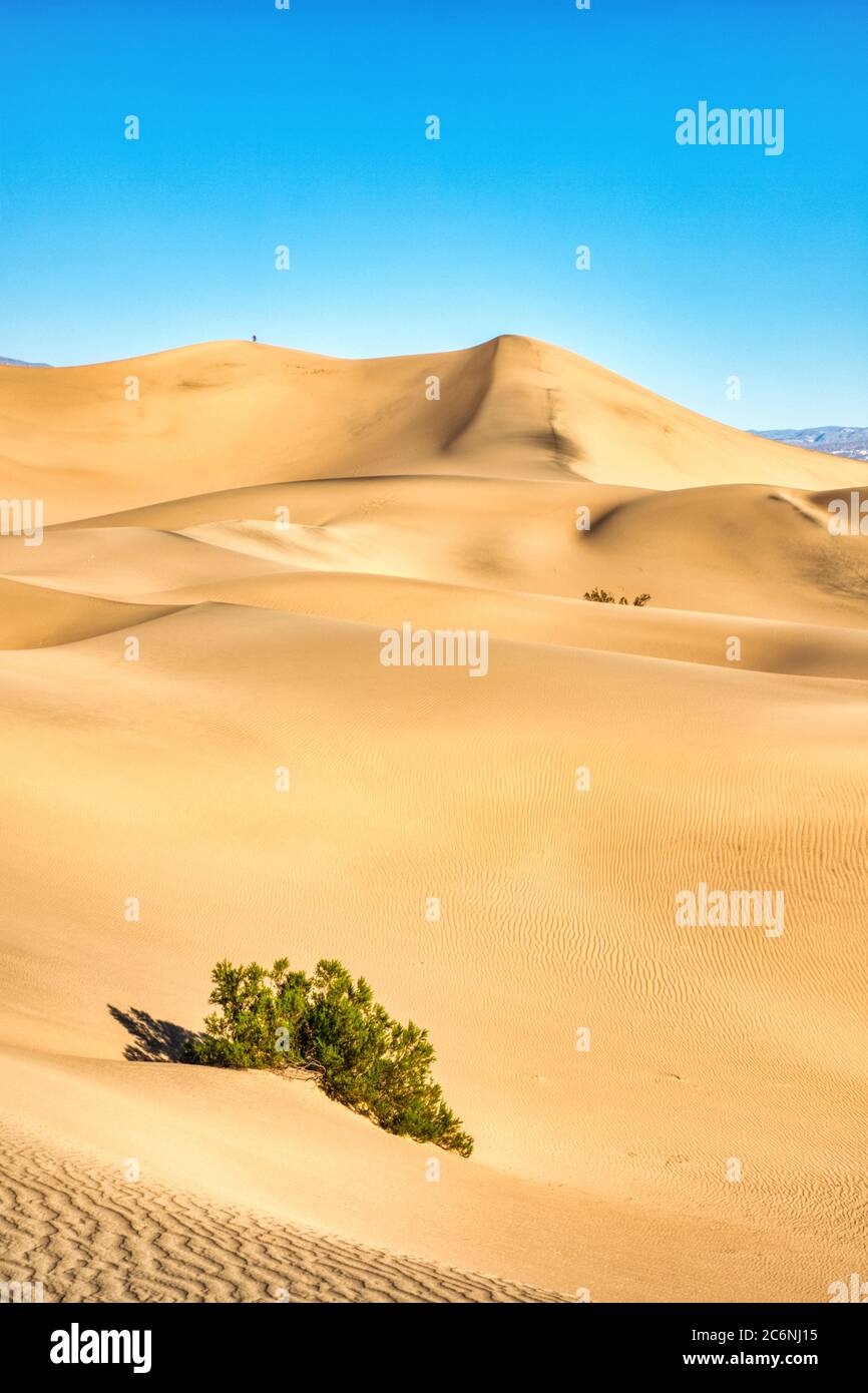 Mesquite Dunes in Death Valley National Park at Sunrise, California ...