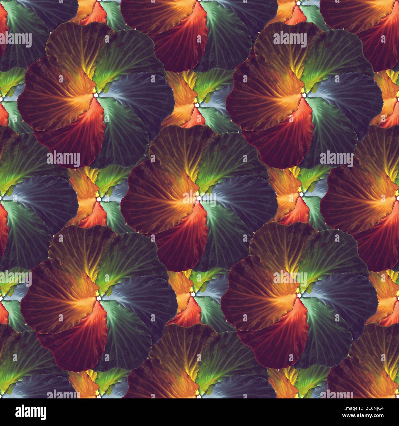 Feminine pattern hi-res stock photography and images - Alamy