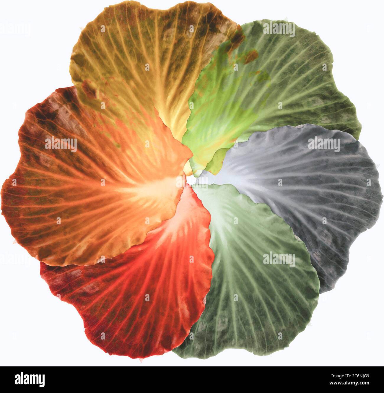 Flower tile design Cut Out Stock Images & Pictures - Alamy