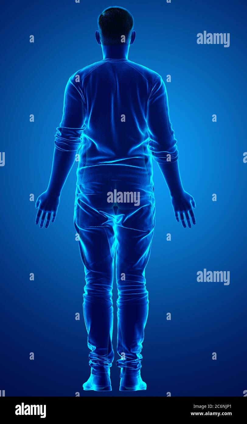 3d rendered illustration of the male body Stock Photo - Alamy