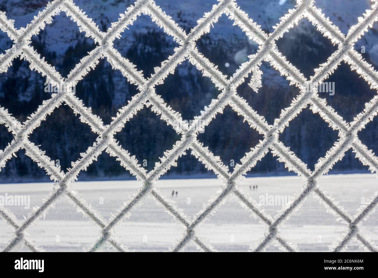 Metal grid fence covered with fresh fluffy frost Stock Photo - Alamy