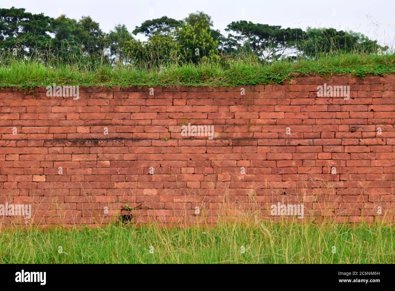 Old building wall texture hi-res stock photography and images - Alamy