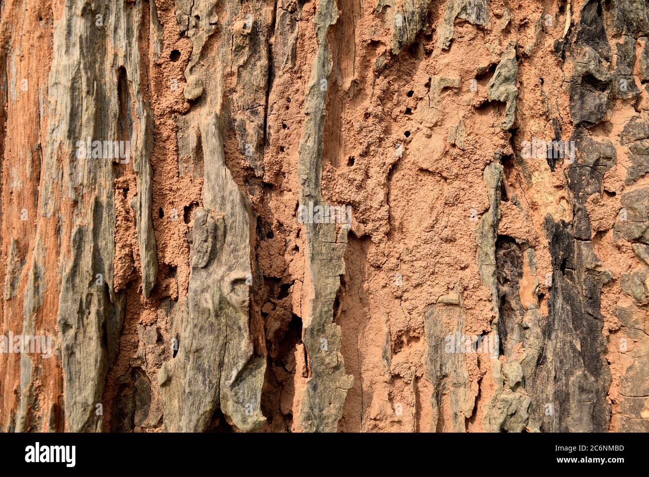 Damage texture hi-res stock photography and images - Alamy