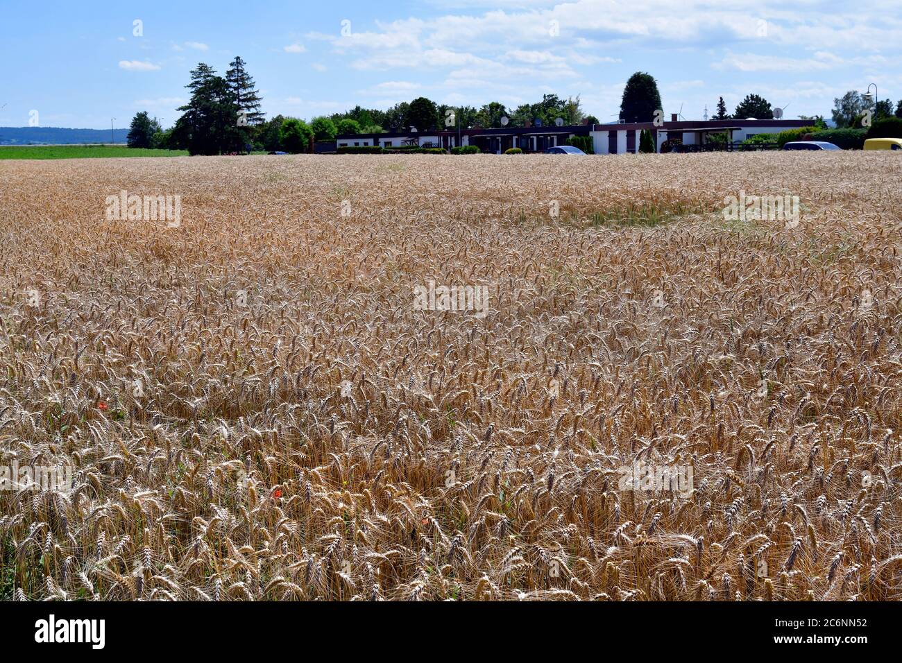 Austria wheat hi-res stock photography and images - Alamy