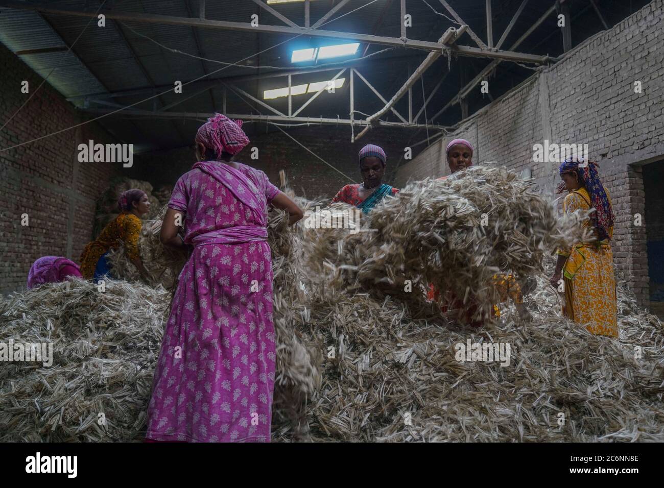 Jute processing factory hi-res stock photography and images - Alamy