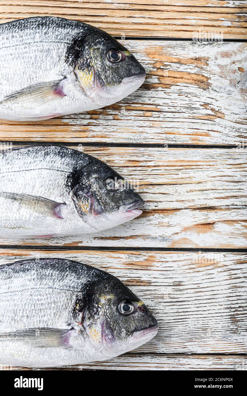 Set of raw headof dorado or Gilt head bream fish over white wood table ...
