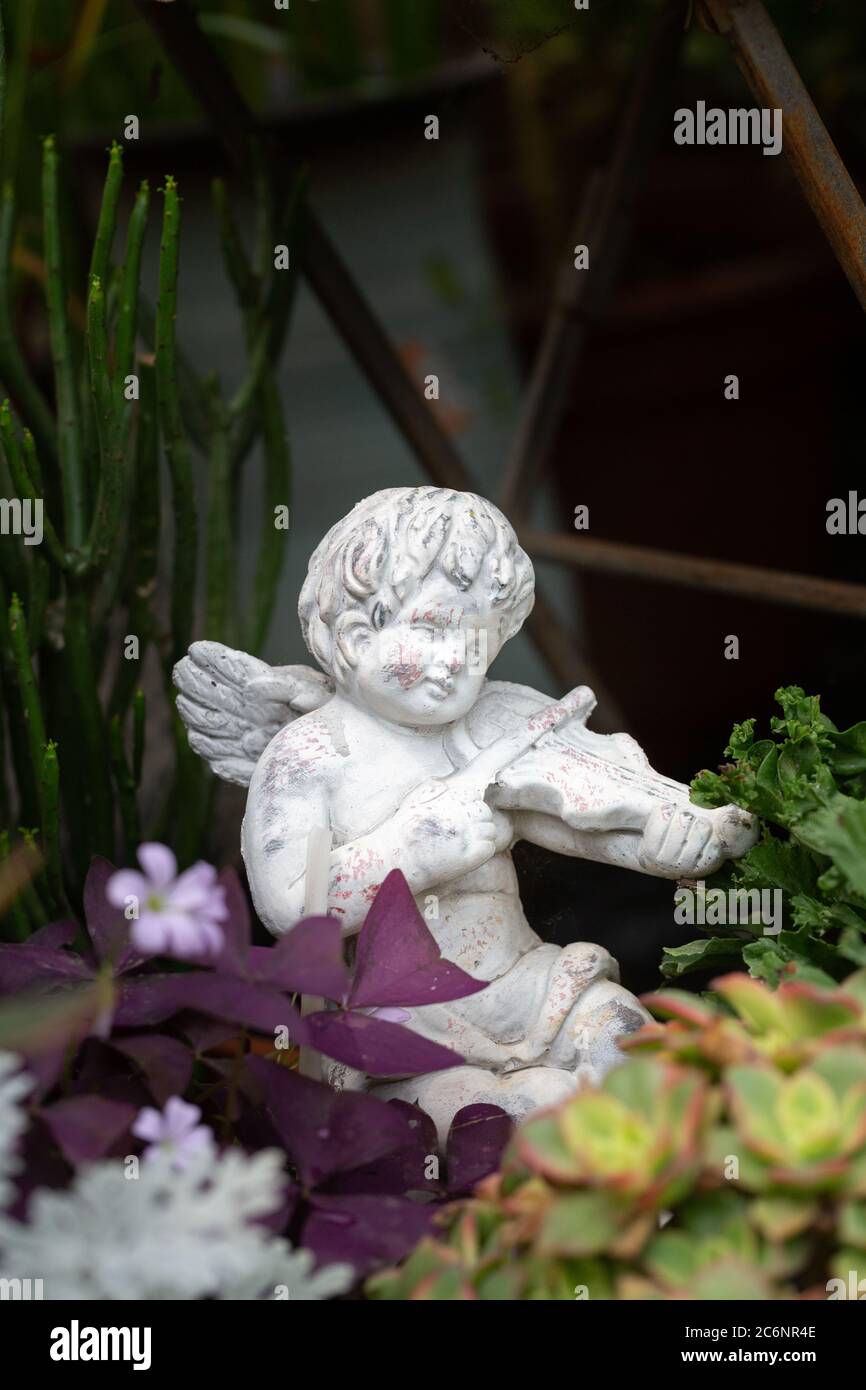 Violin playing angel hi-res stock photography and images - Alamy