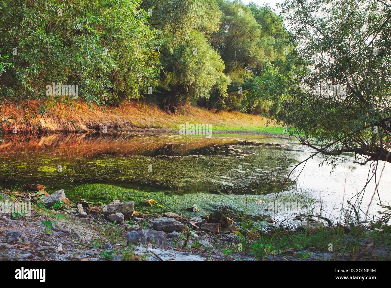 Puddle wilderness nature . Scenery with water's edge Stock Photo - Alamy