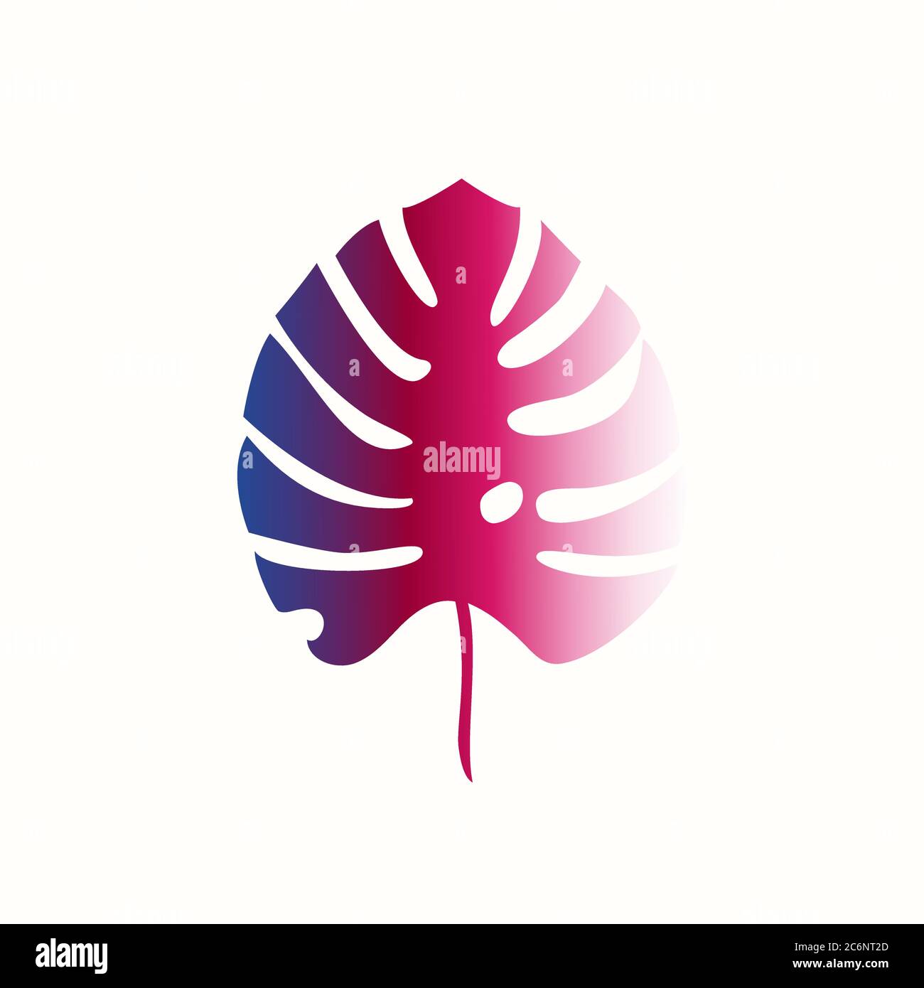 Top of the palm tree Cut Out Stock Images & Pictures - Alamy