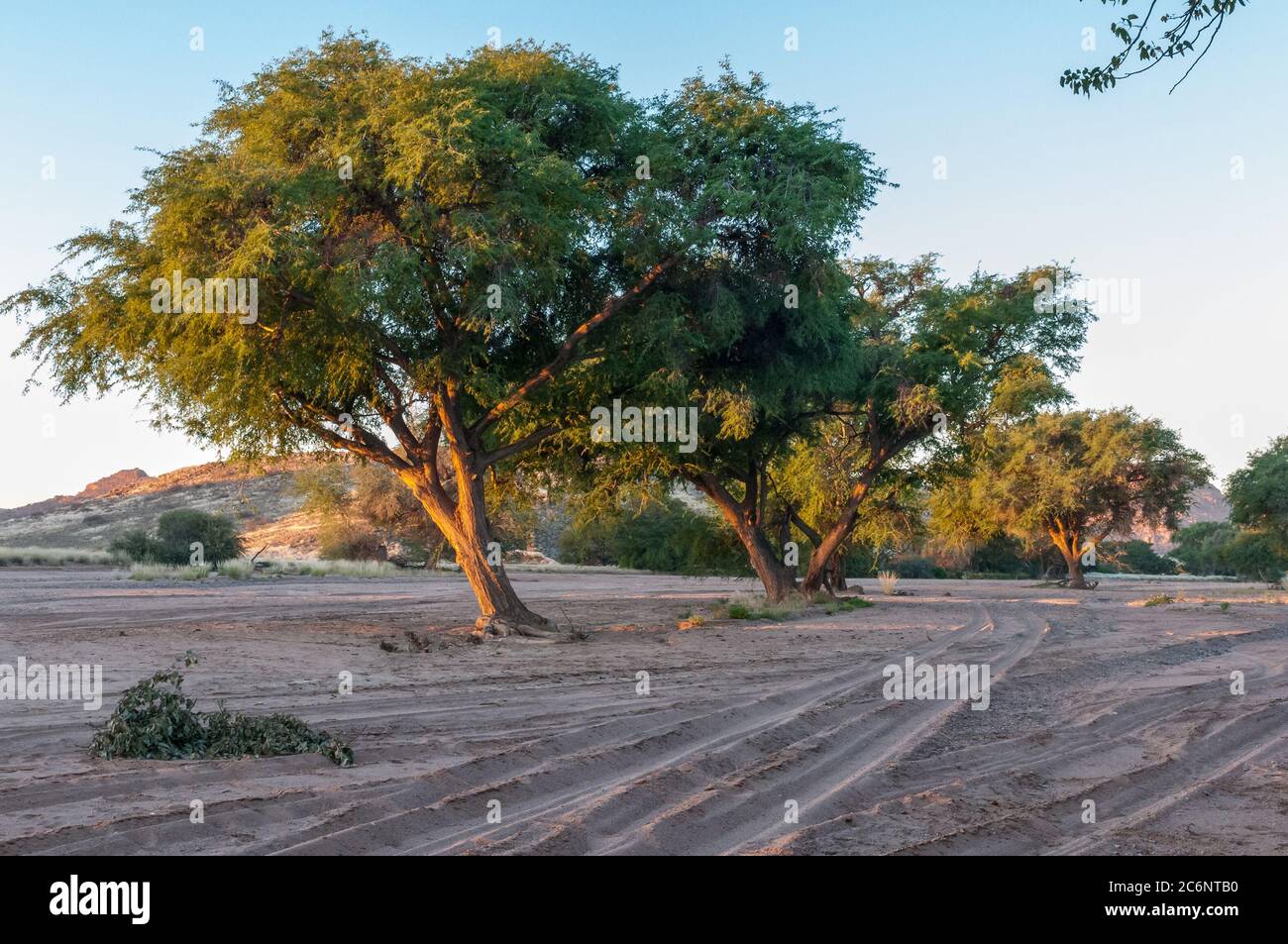 Aba huab river hi-res stock photography and images - Alamy