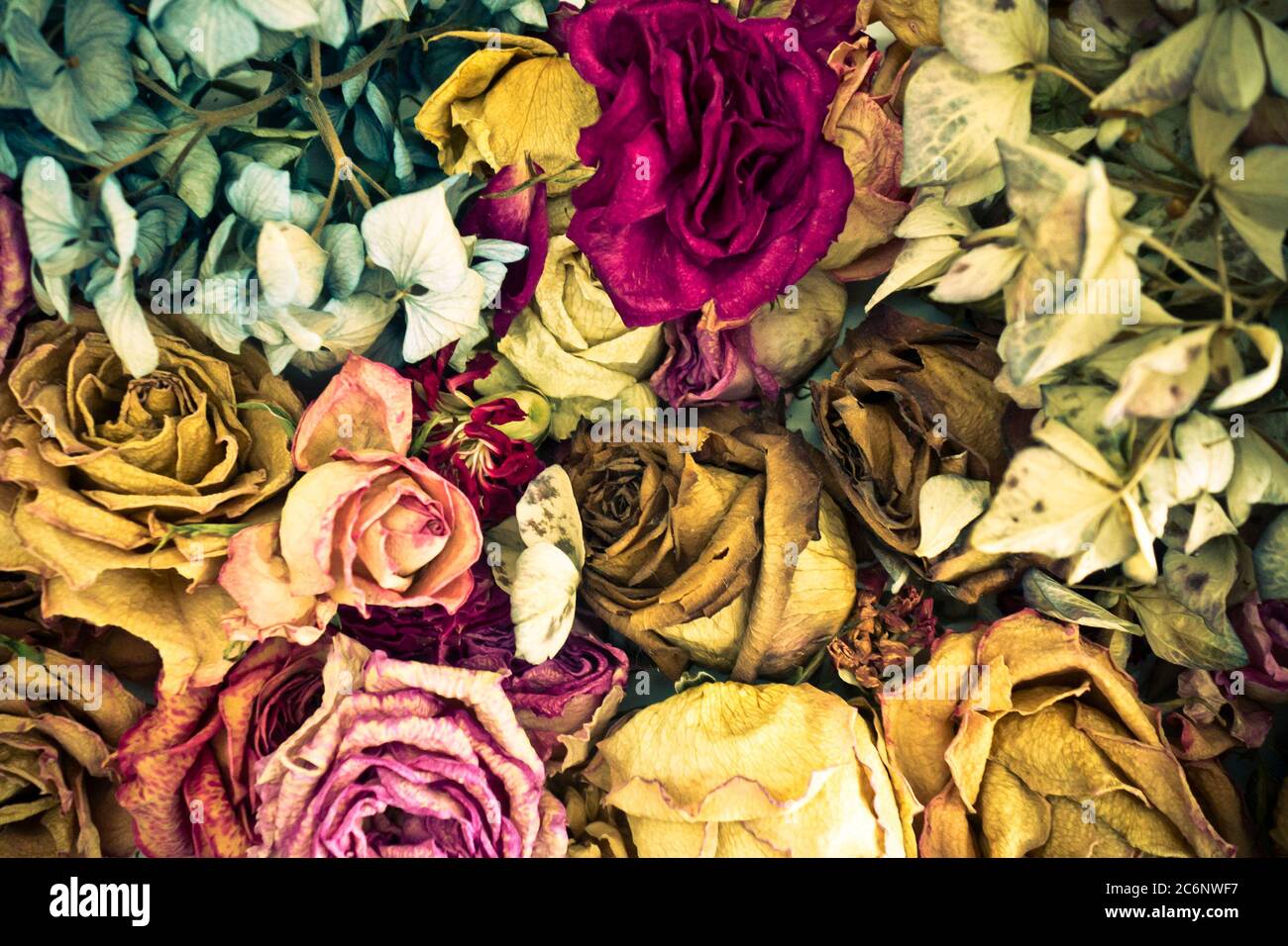 Dry art hi-res stock photography and images - Alamy