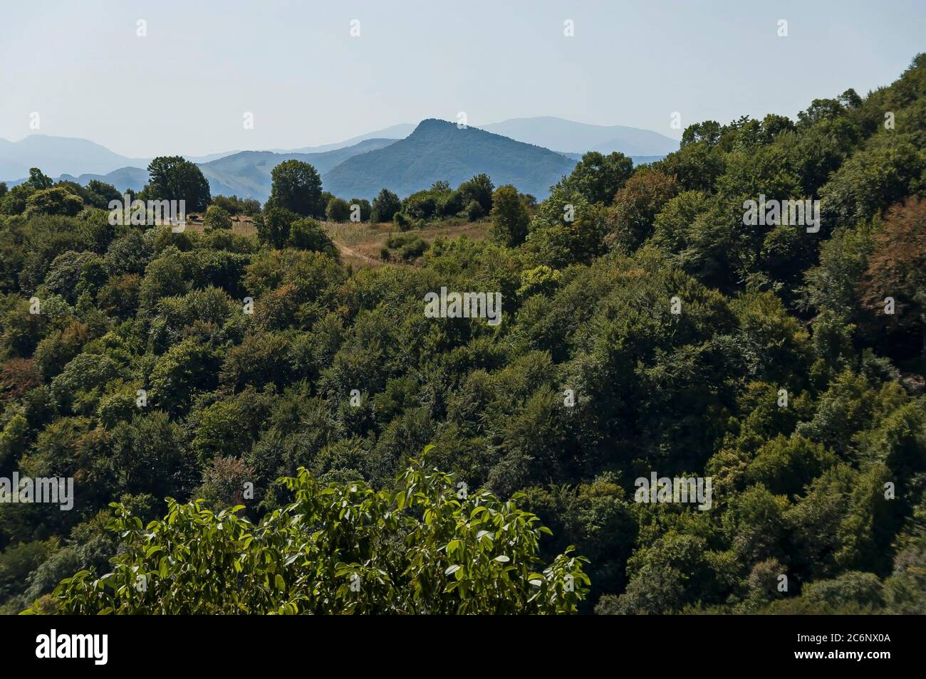 Panorama with hills and an old green forest in the Balkan Mountains ...
