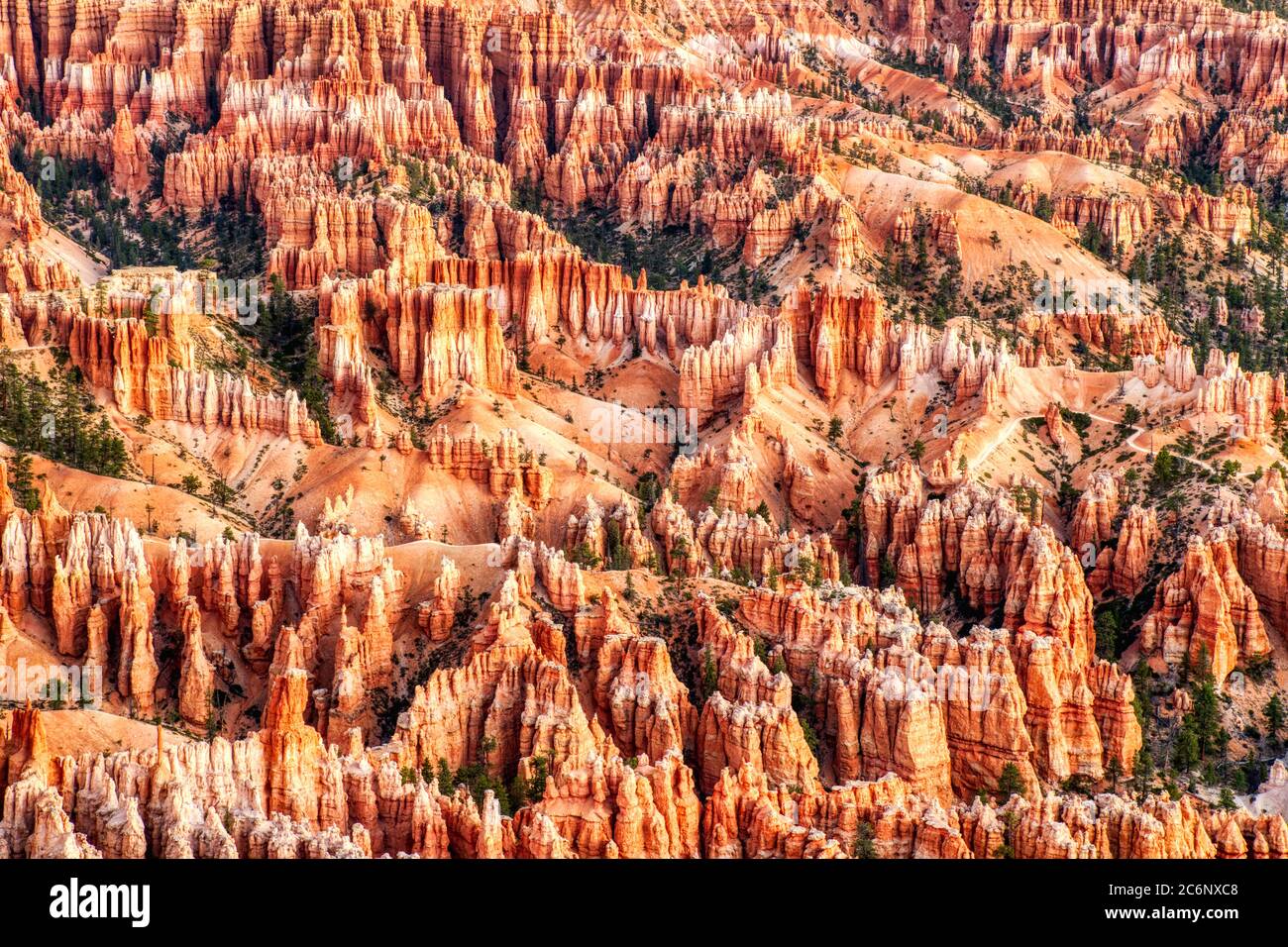Bryce Canyon National Park at Sunrise, View from Bryce Point, Utah, USA ...
