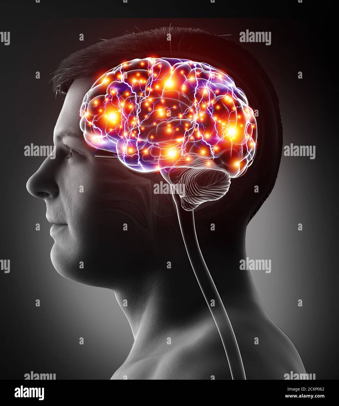 Male active brain anatomy hi-res stock photography and images - Alamy