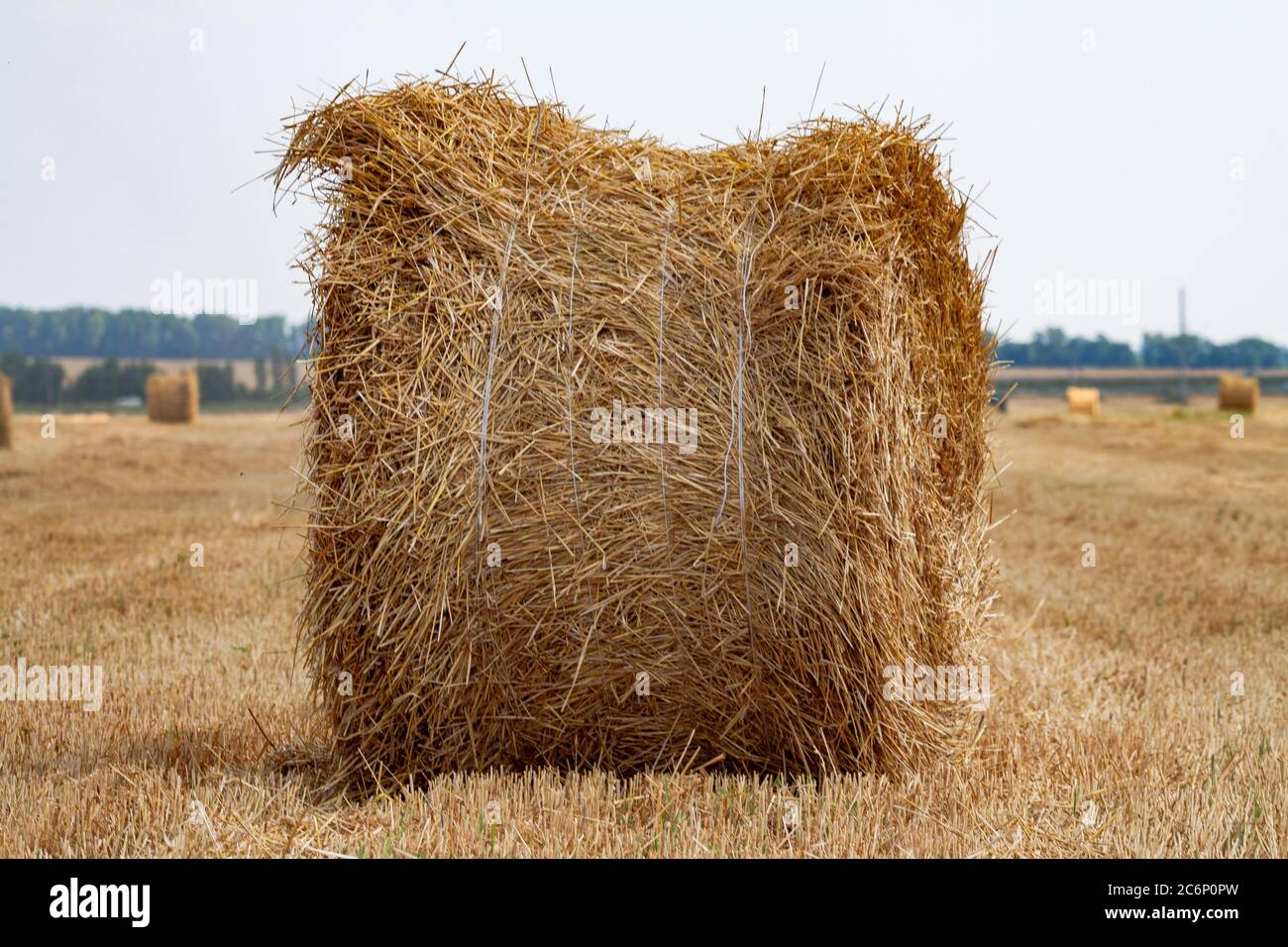 A tractor with a trailed bale making machine collects straw rolls in ...