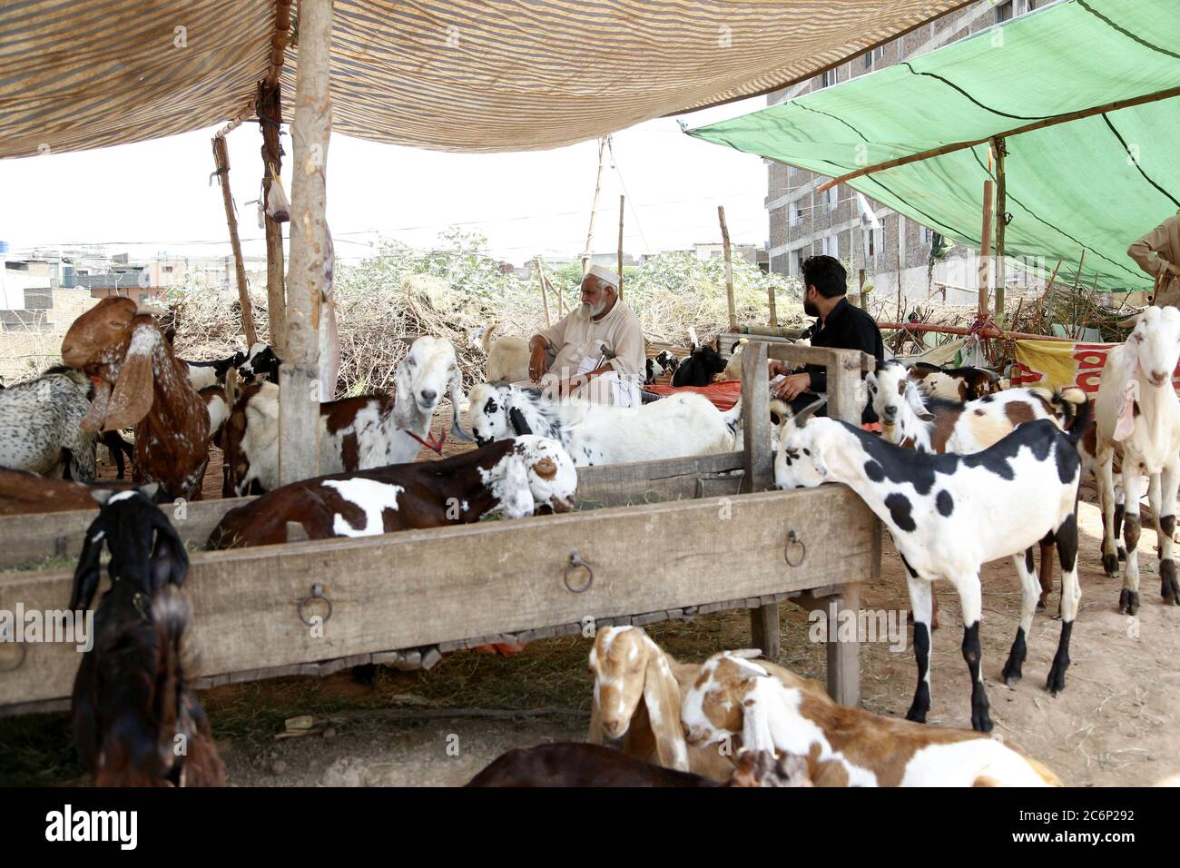 Islamabad. 11th July, 2020. Vendors wait for customers at an animal ...