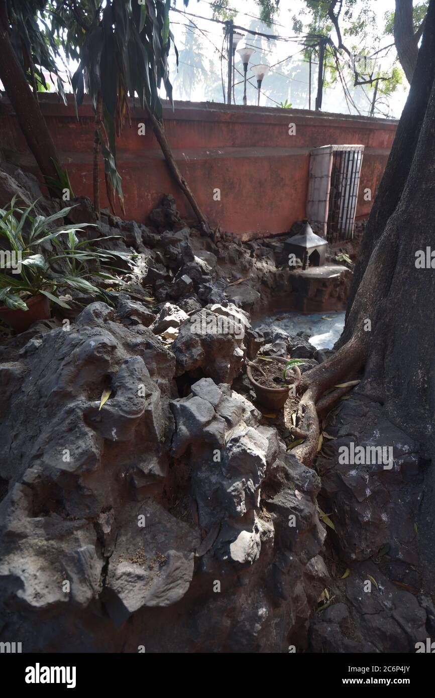 Rock Garden of Acharya Bhaban (built in 1902). Residence of Sir ...