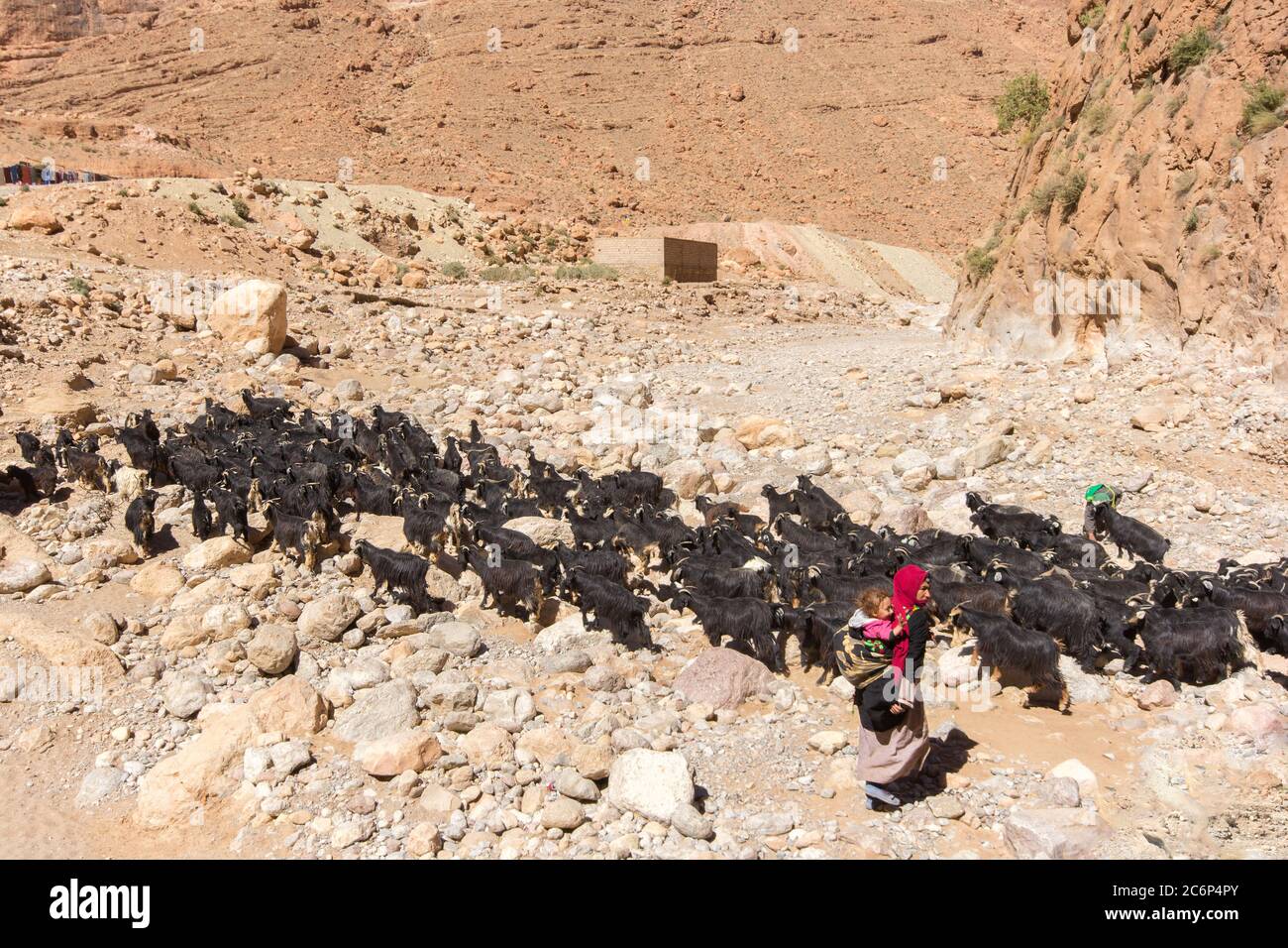 Berber family work morocco hi-res stock photography and images - Alamy