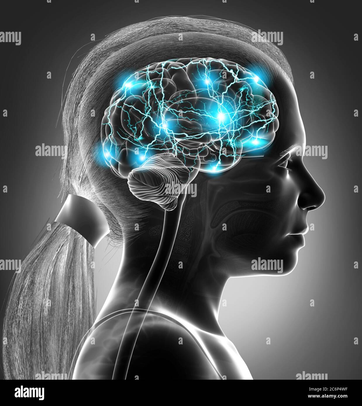 3d rendered, medically accurate illustration of a young girl active ...