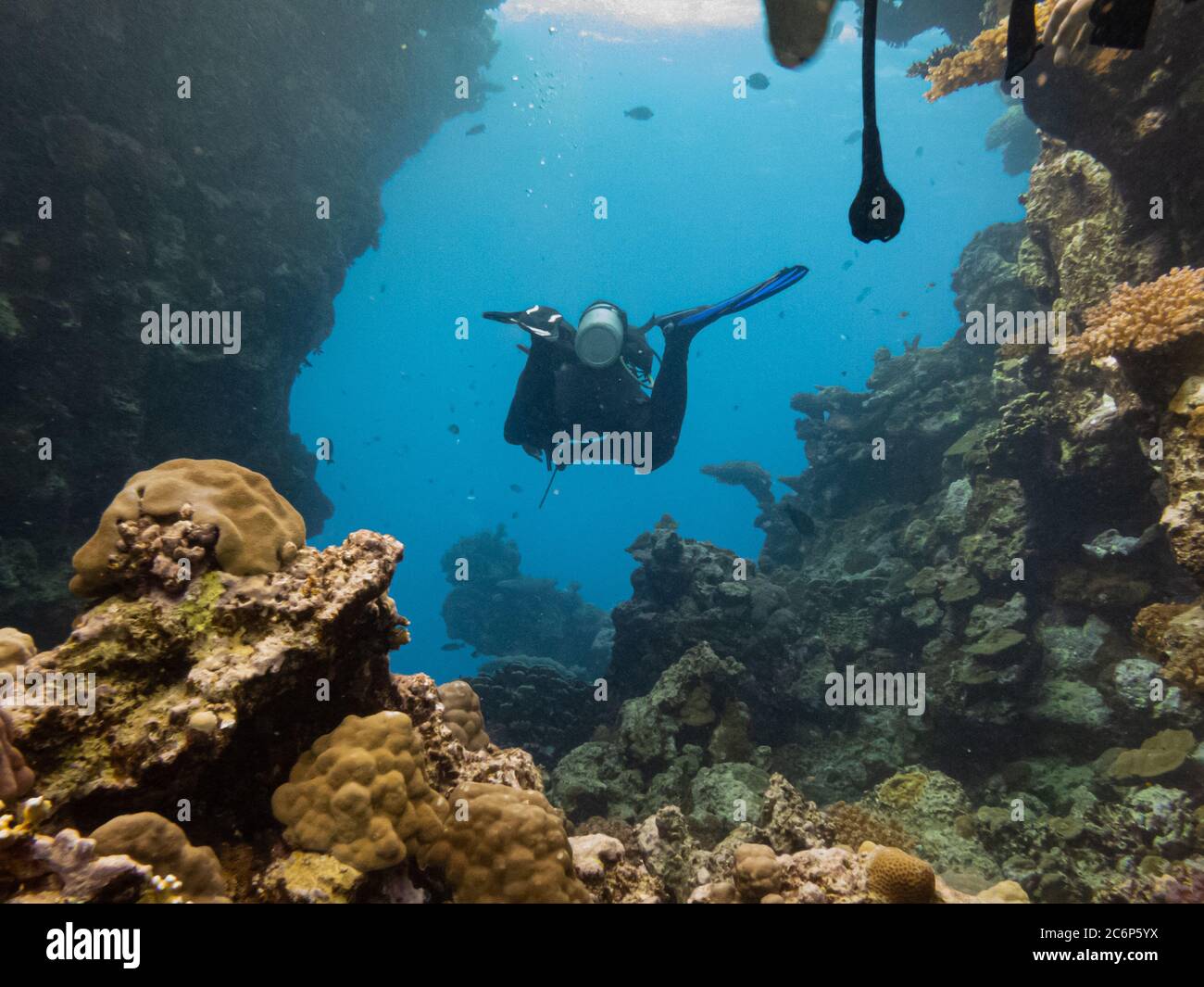 Scuba diver at a tropical Red Sea coral reef near Hurghada, Egypt ...