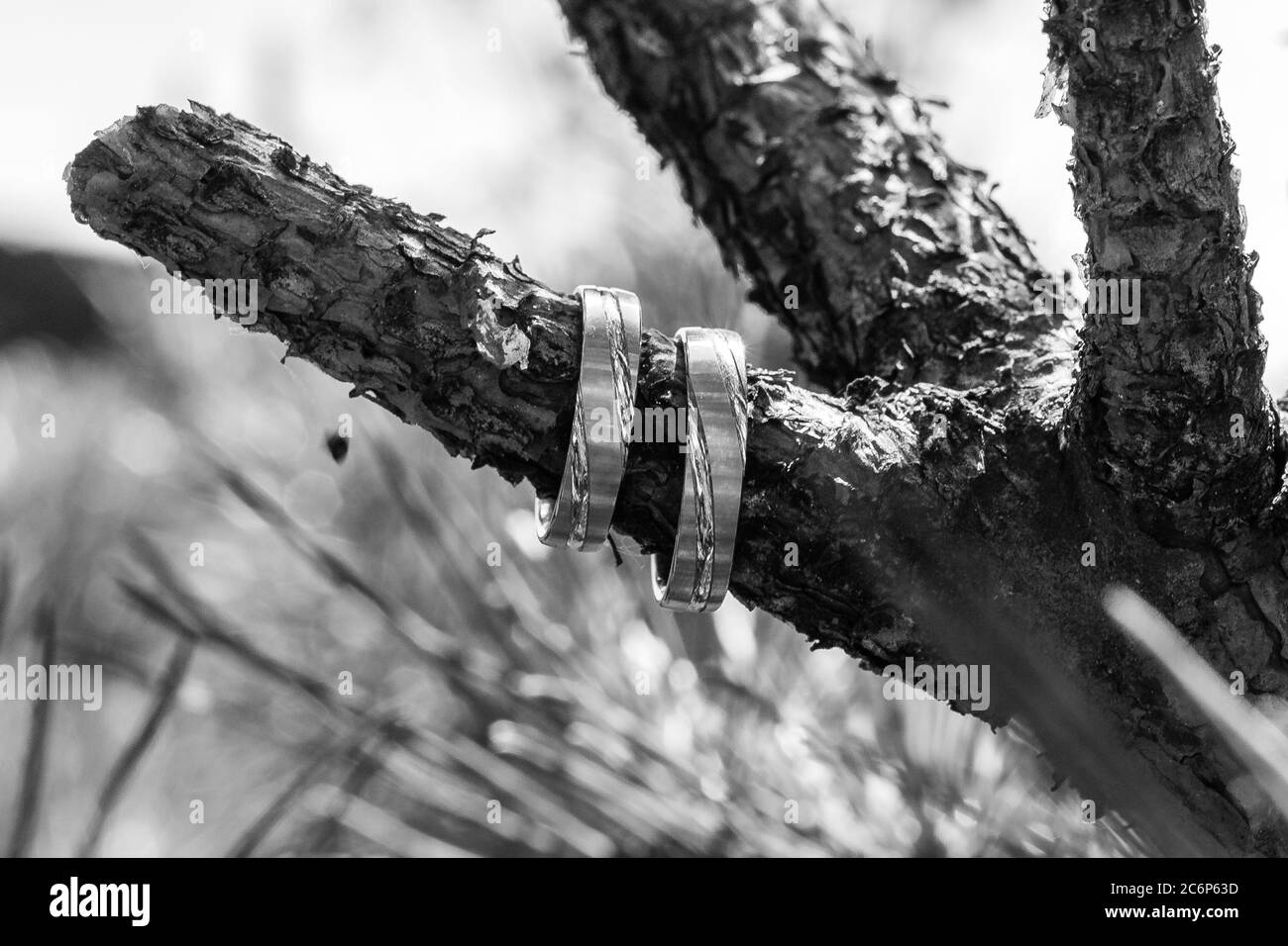 Red rose symbol love Black and White Stock Photos & Images - Alamy