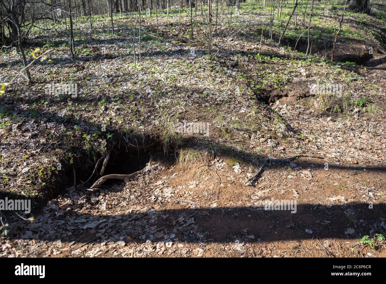 Badger cave hi-res stock photography and images - Alamy