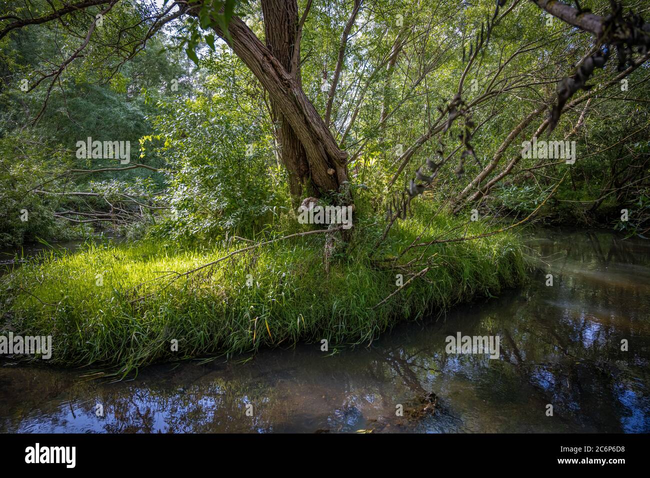 Beautiful murky river floating through a lush, green area. Reflections ...
