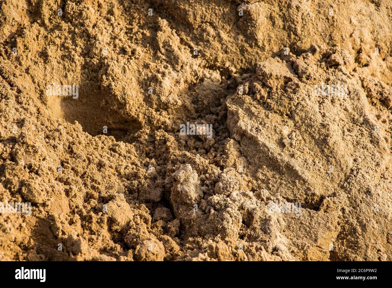 Beige yellow sand hi-res stock photography and images - Alamy